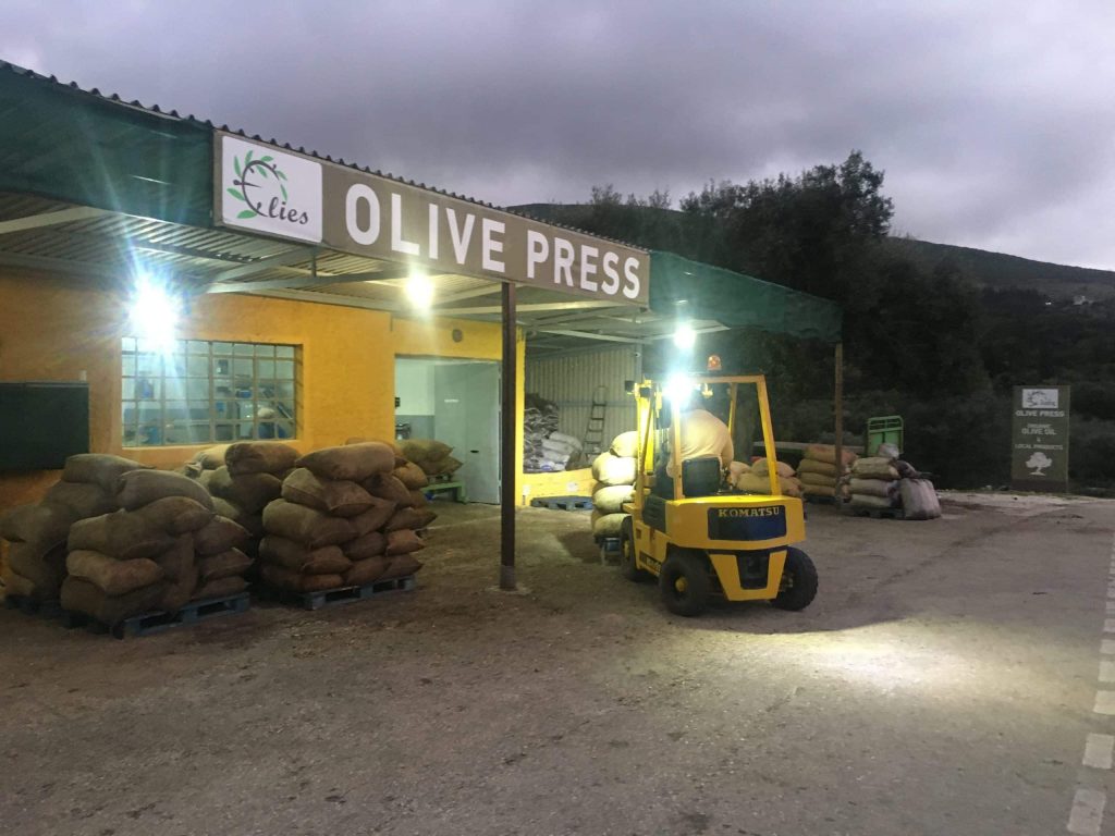 Φωτογραφίες - Elies Olive Press