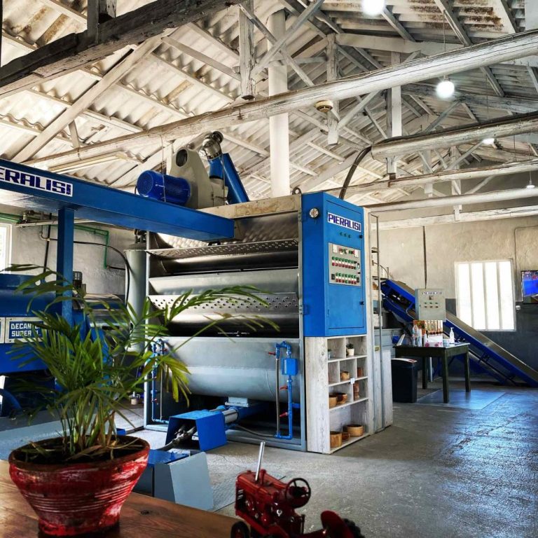 Ποιοί Είμαστε - Elies Olive Press